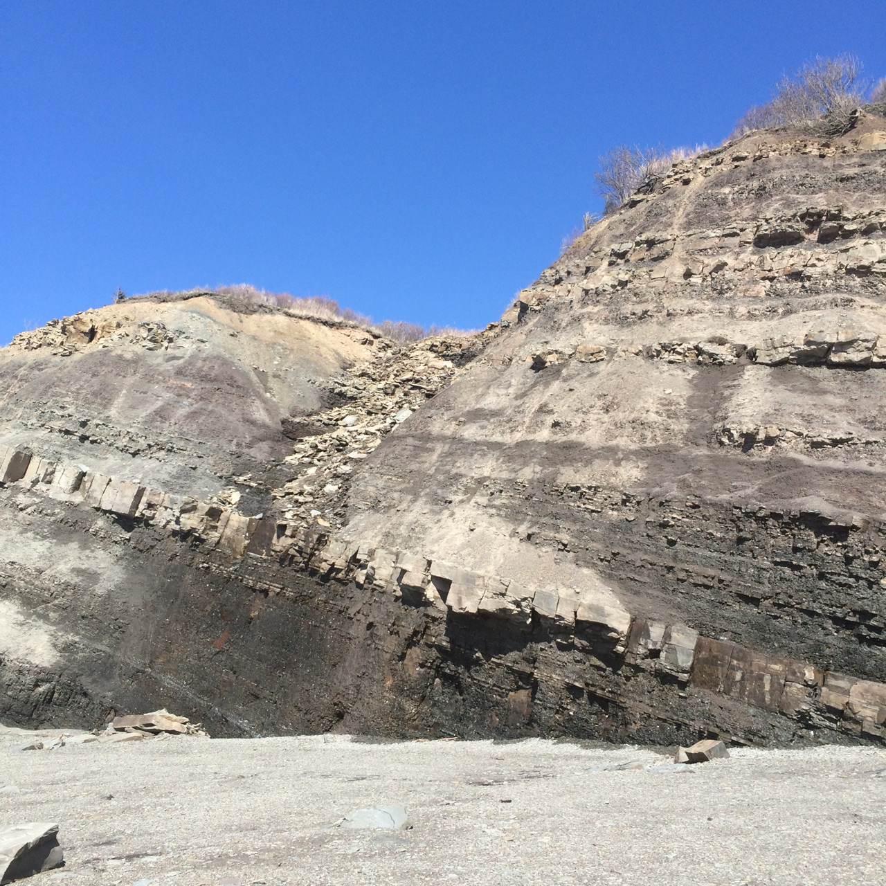 Single premiere: Fossil Cliffs "I Never Thought You Would" – Mixtape ...